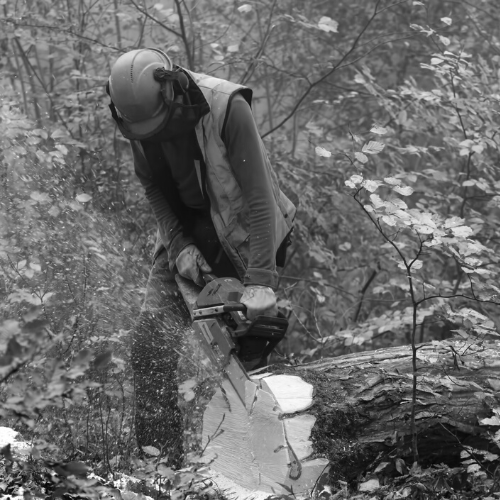 Davey Textiles – Textile Solutions Inc.